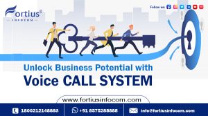Voice Call Campaign | Unlock Business Potential with Voice Call System |Fortius Infocom